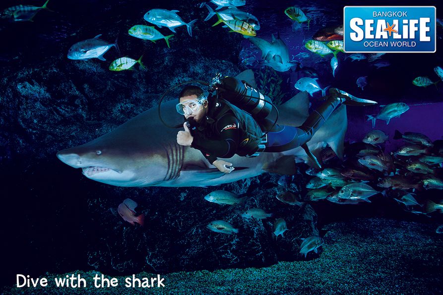 SEA LIFE Bangkok Ocean World: 40% OFF for Pre-Booking Only - TakeMeTour